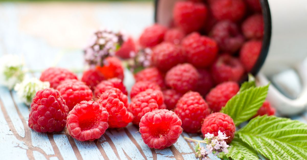 How Much Does A Quart Of Raspberries Weigh? Weighing the Facts